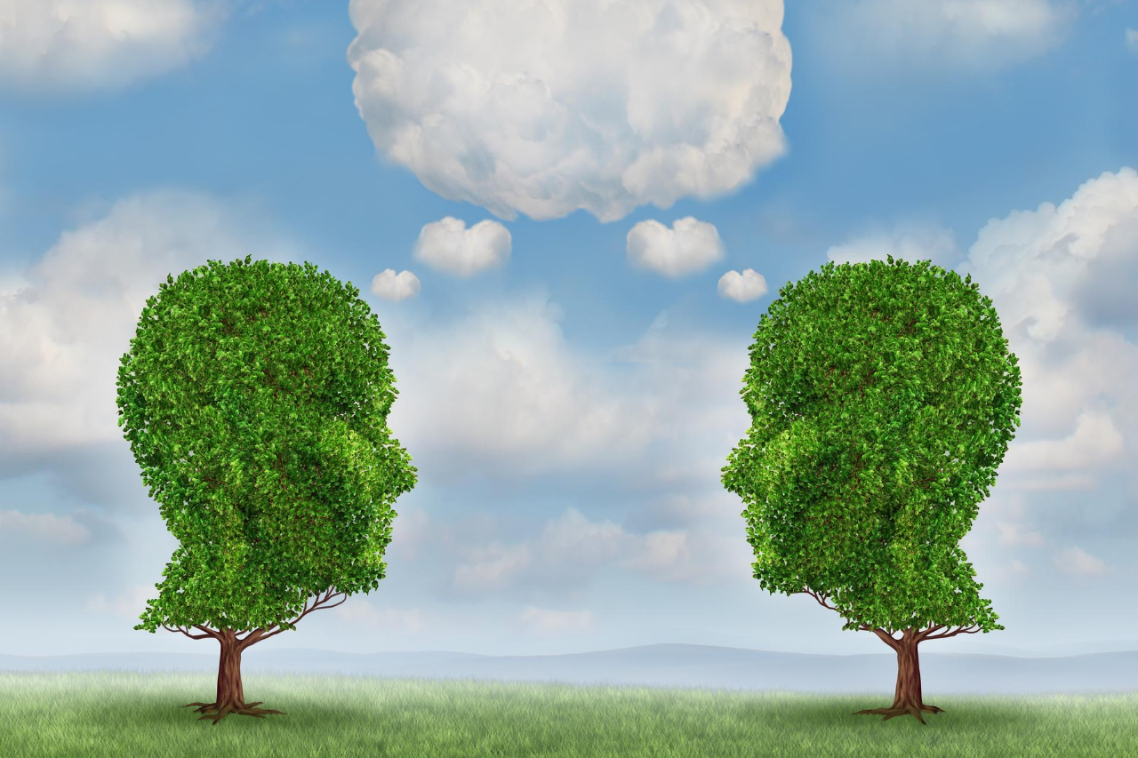 How to Grow Your Business Network - D32 Business Network
